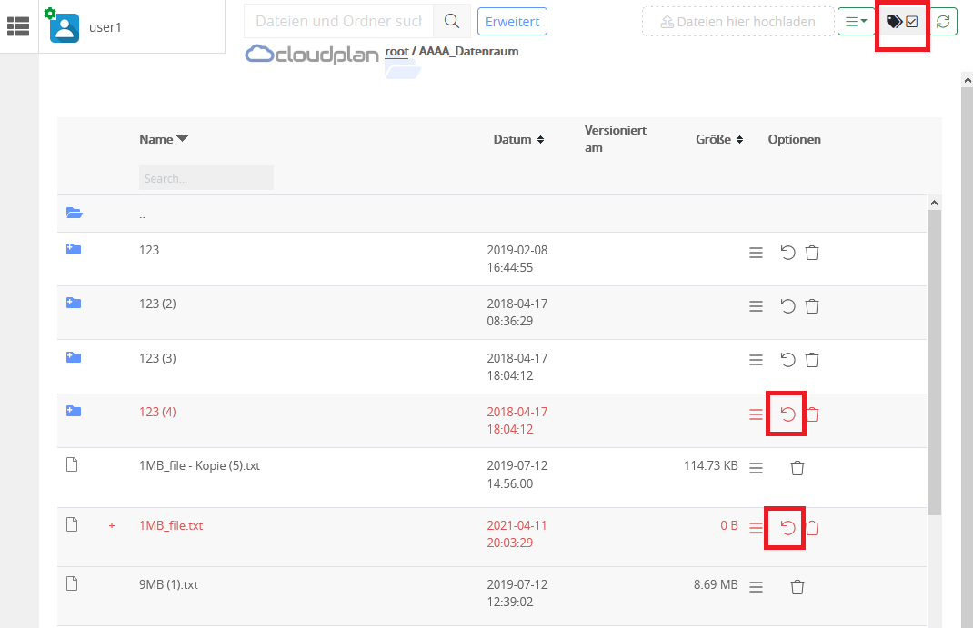Versionierung, Wiederherstellung und Rollback - cloudplan Help